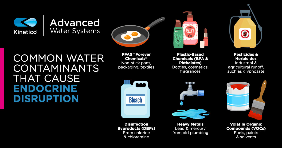 A Homeowner’s Guide to Endocrine Disruptors in Drinking Water